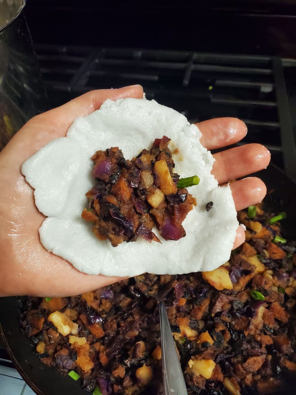 Taiwanese Meatball Dumplings – Vegan Bawan – James Talon Art