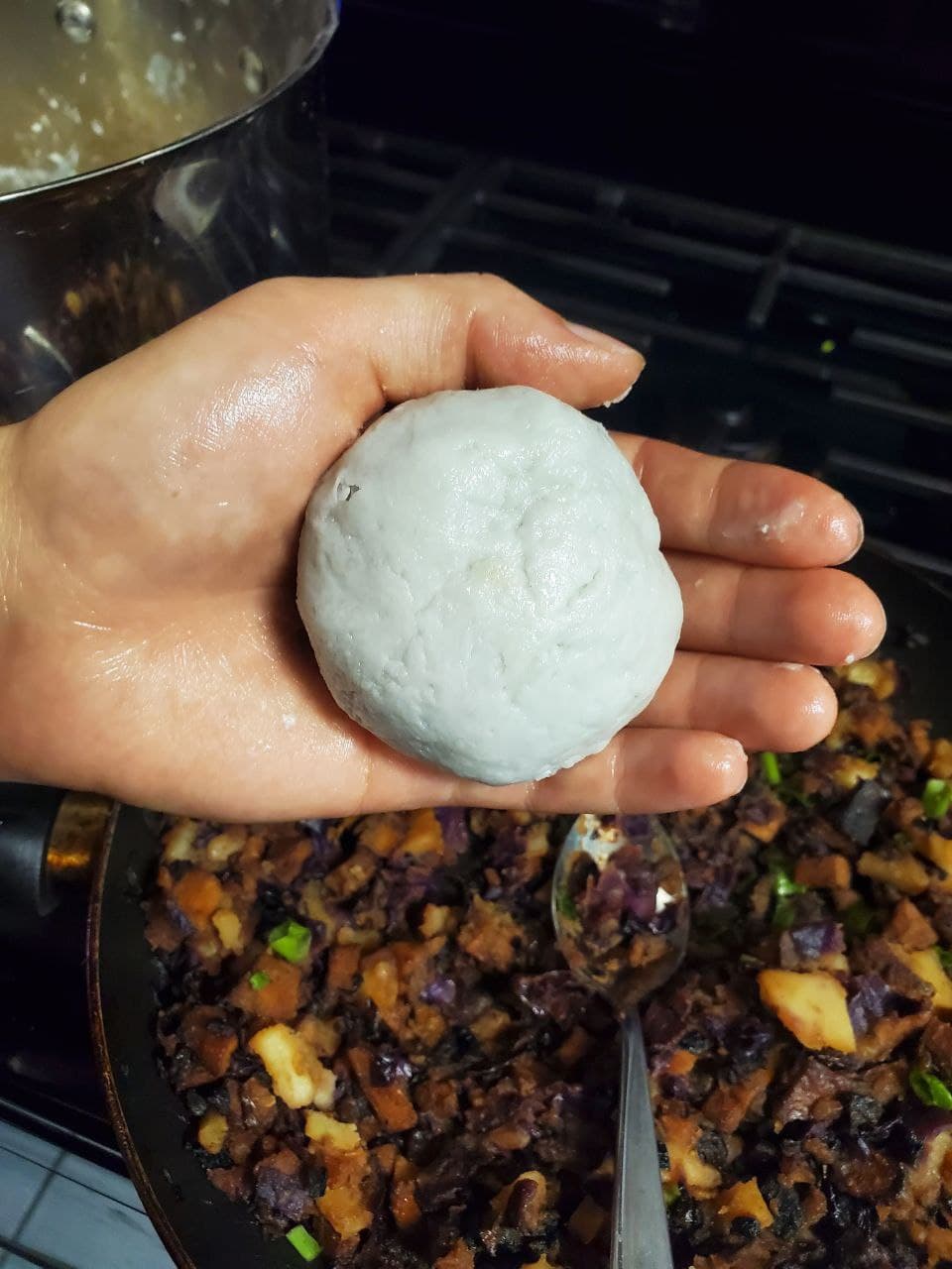 Taiwanese Meatball Dumplings – Vegan Bawan – James Talon Art